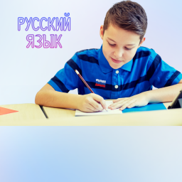 Russian exam preparation | SCHOOLPLUS